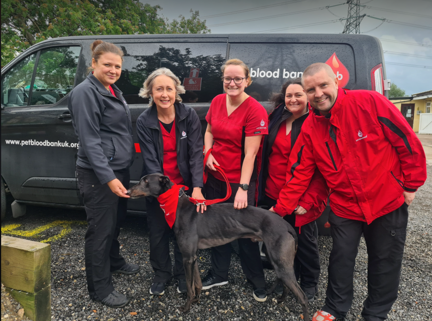 Logistics Assistant Course – Pet Blood Bank