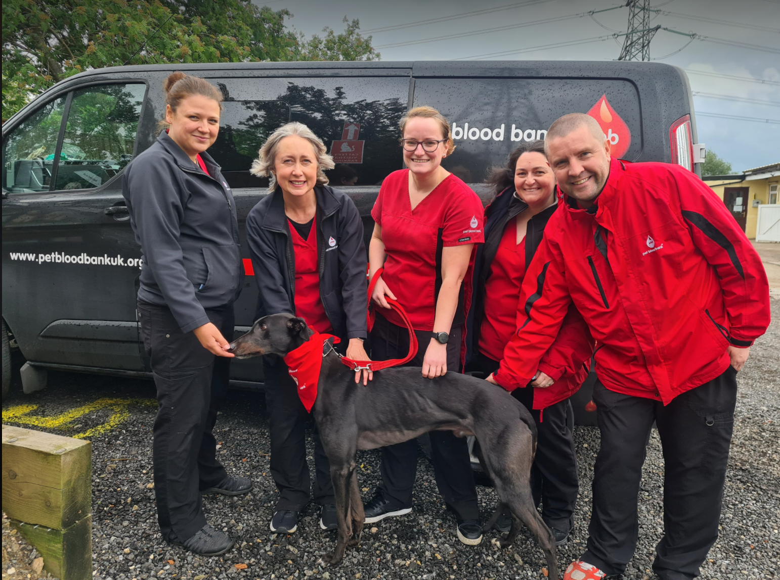 Processor Training Course – Pet Blood Bank
