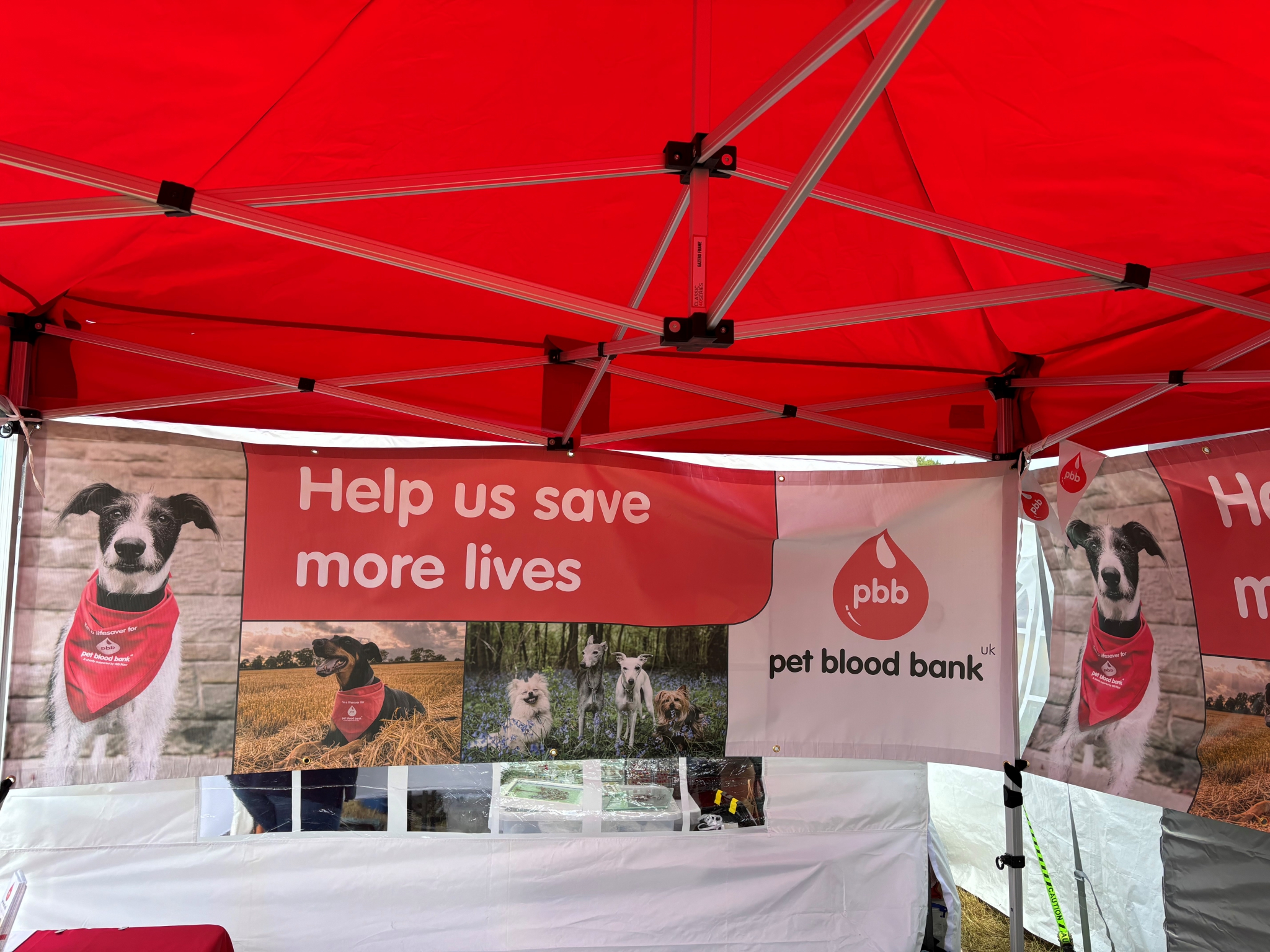 Events Coordinator Training Course – Pet Blood Bank